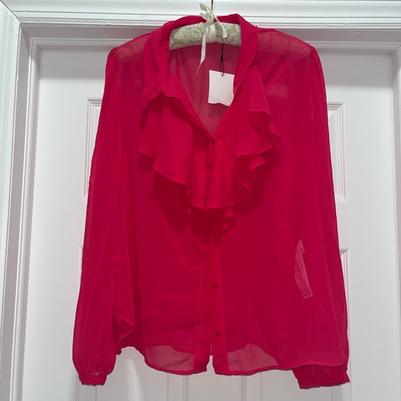 Zara | Tops | Zara Hot Pink Sheer Ruffle Blouse | Poshmark